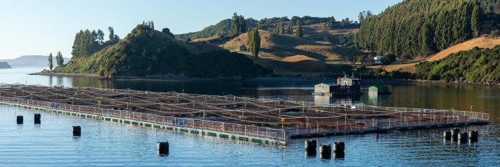 40 Overfishing Facts That You Need to Know About Today - Facts.net