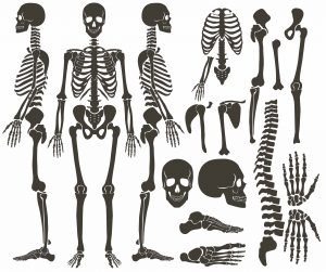 104 Cool Science Facts That Will Change Your Life - Facts.net