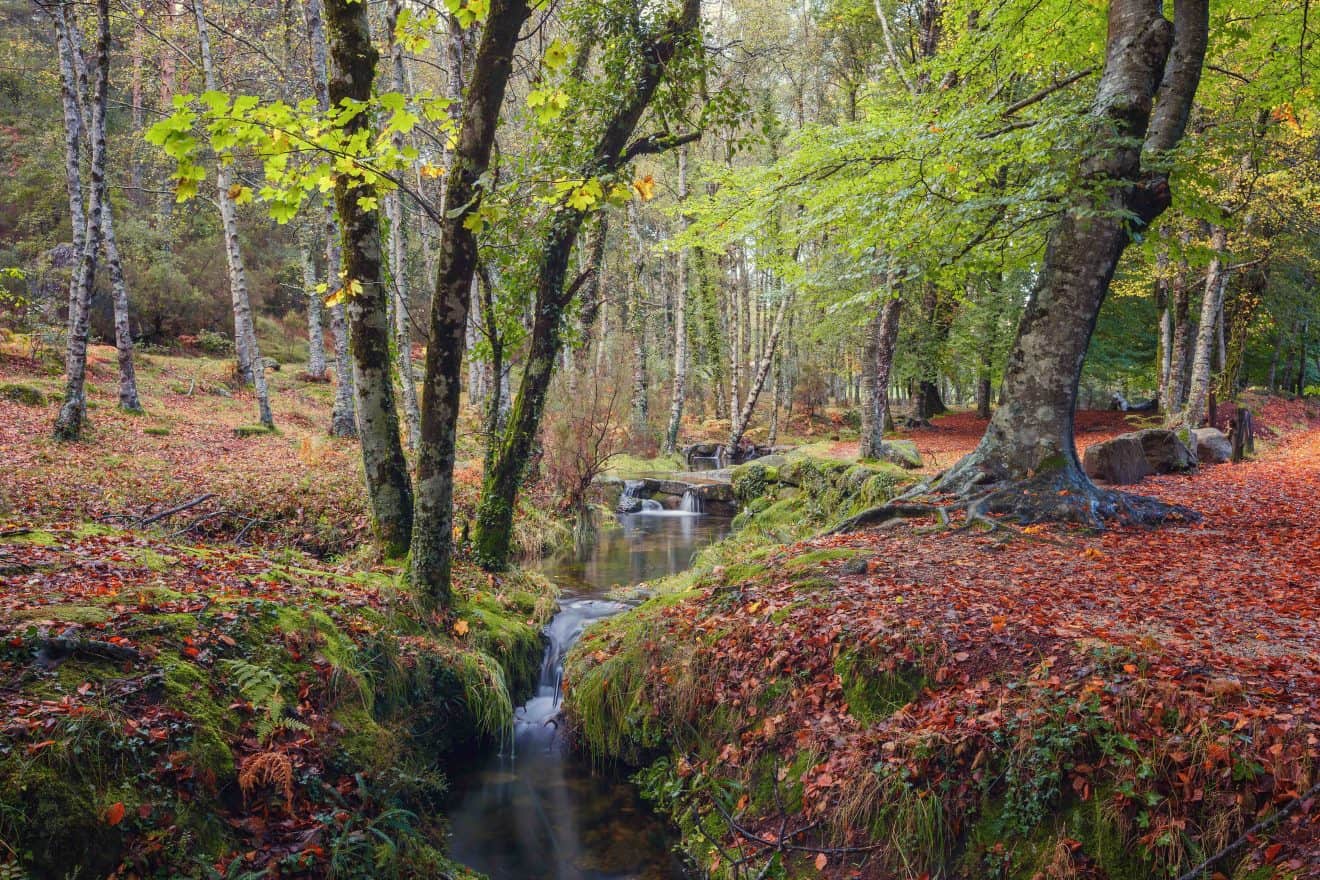 80 Portugal Facts That Are Too Beautiful To Miss - Facts.net