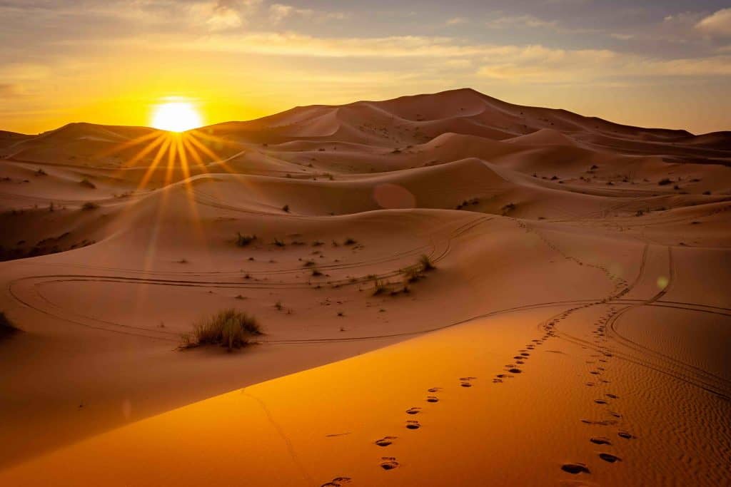 10 Largest Deserts in the World [Hot and Cold Included] - Facts.net