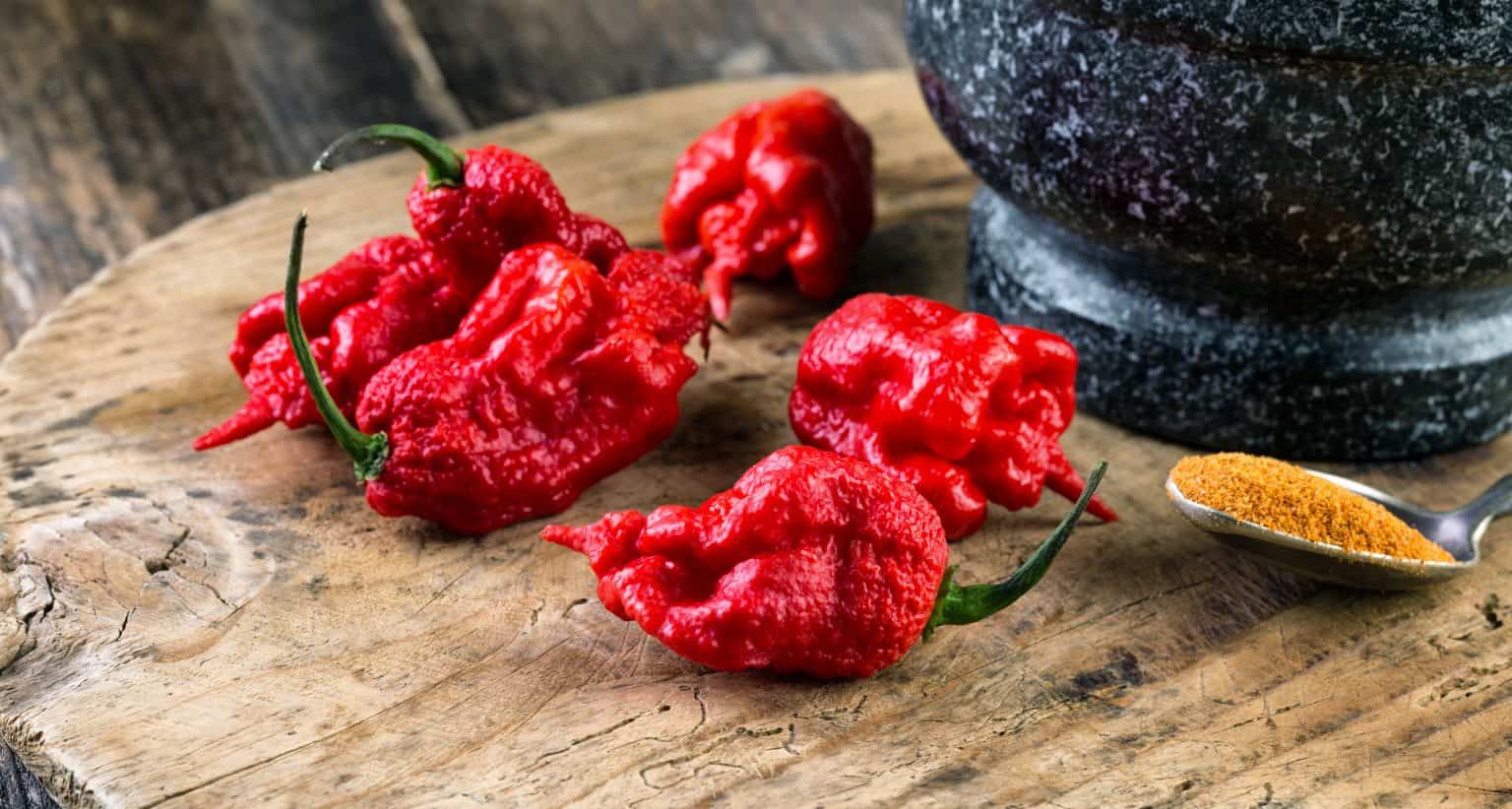 20 Hottest Peppers in the World To Make You Sweat - Facts.net