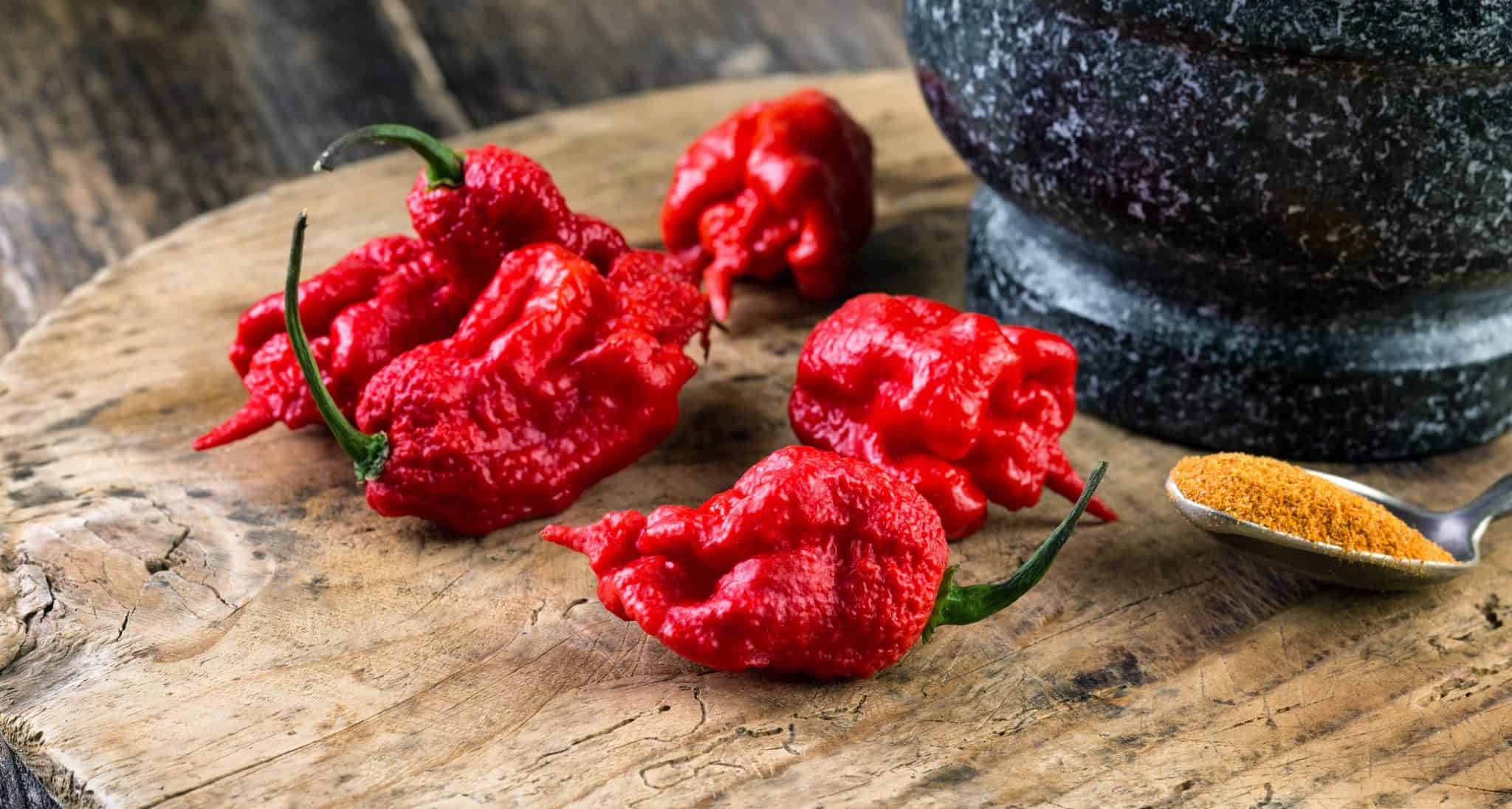 20 Hottest Peppers in the World To Make You Sweat - Facts.net