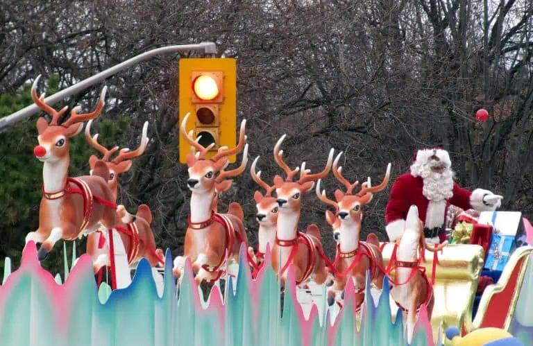 List of Santa's Reindeer Names in Order - Facts.net