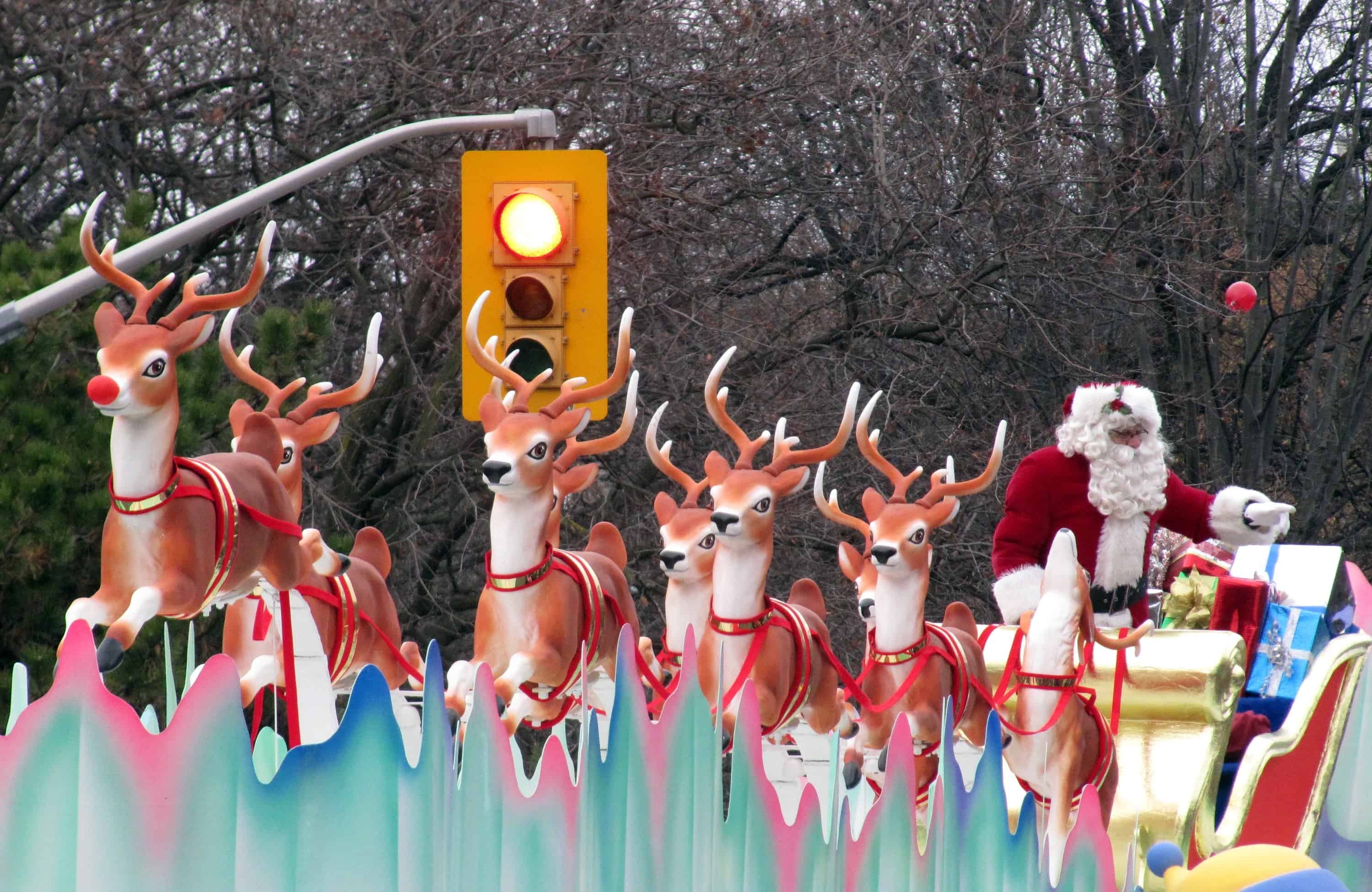 List Of Santa s Reindeer Names In Order Facts