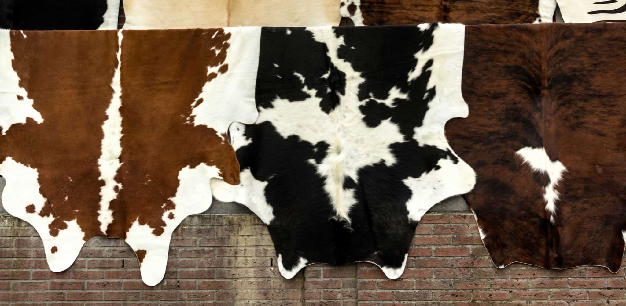 Types of Leather Based on Animal Hide, Finish, and More - Facts.net