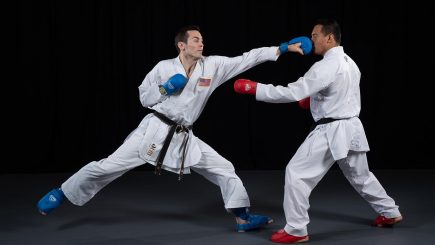 40 Types of Martial Arts from Around the World - Facts.net