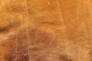 Types of Leather Based on Animal Hide, Finish, and More - Facts.net