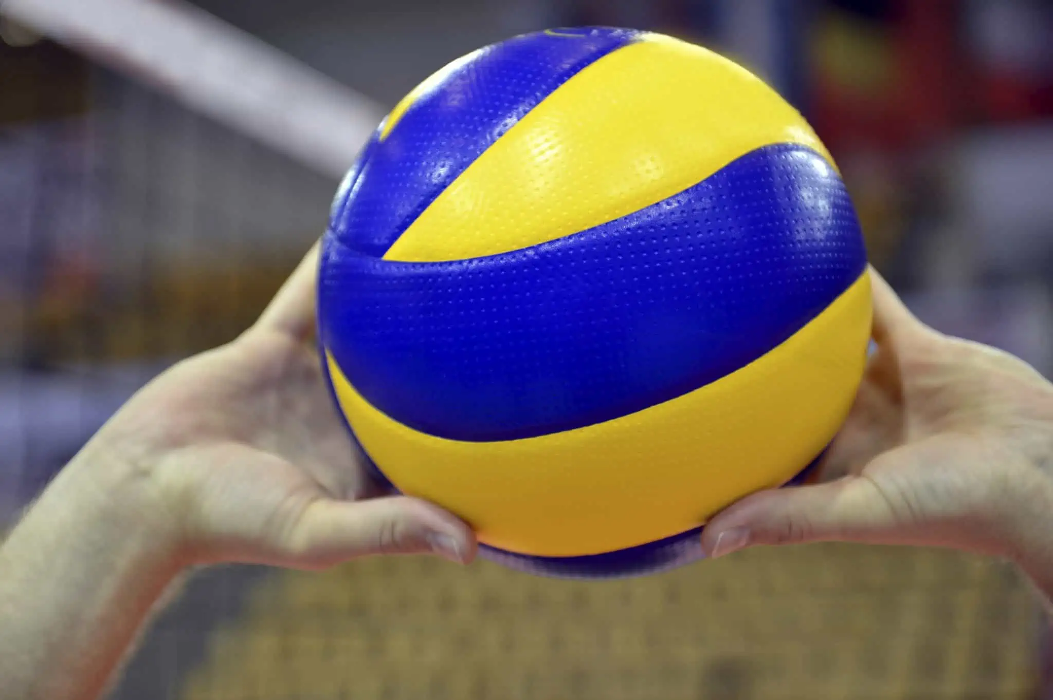 List of Volleyball Terms and Their Definitions - Facts.net