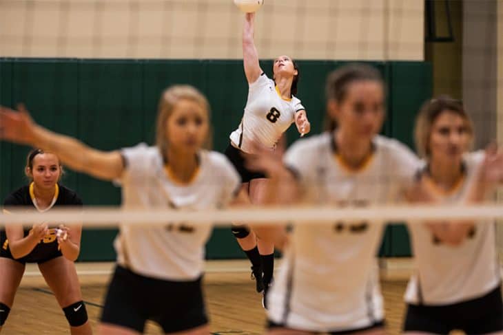 List of Volleyball Terms and Their Definitions - Facts.net