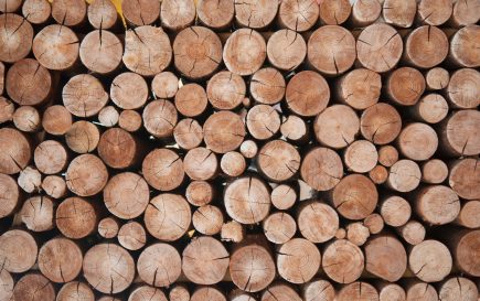 26 Types of Wood and Their Uses - Facts.net