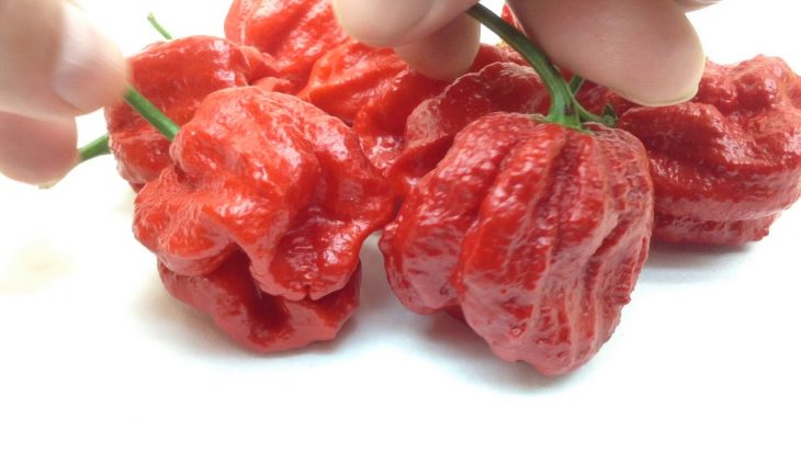 20 Hottest Peppers in the World To Make You Sweat - Facts.net