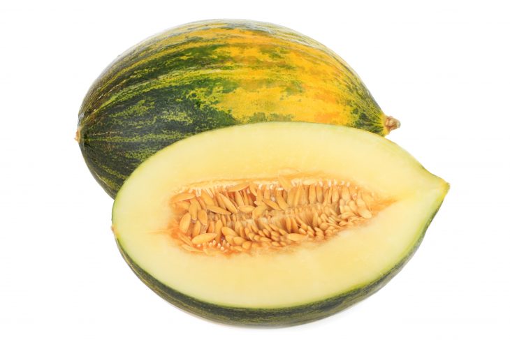 40+ Types of Melons To Discover From Around the World - Facts.net