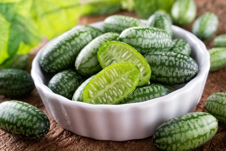 40+ Types of Melons To Discover From Around the World - Facts.net
