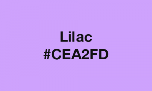 Types of Purple: Identify the Different Shades of the Royal Color ...