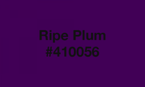 Types of Purple: Identify the Different Shades of the Royal Color ...