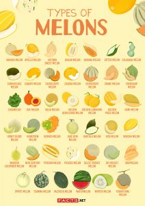 40+ Types of Melons To Discover From Around the World - Facts.net