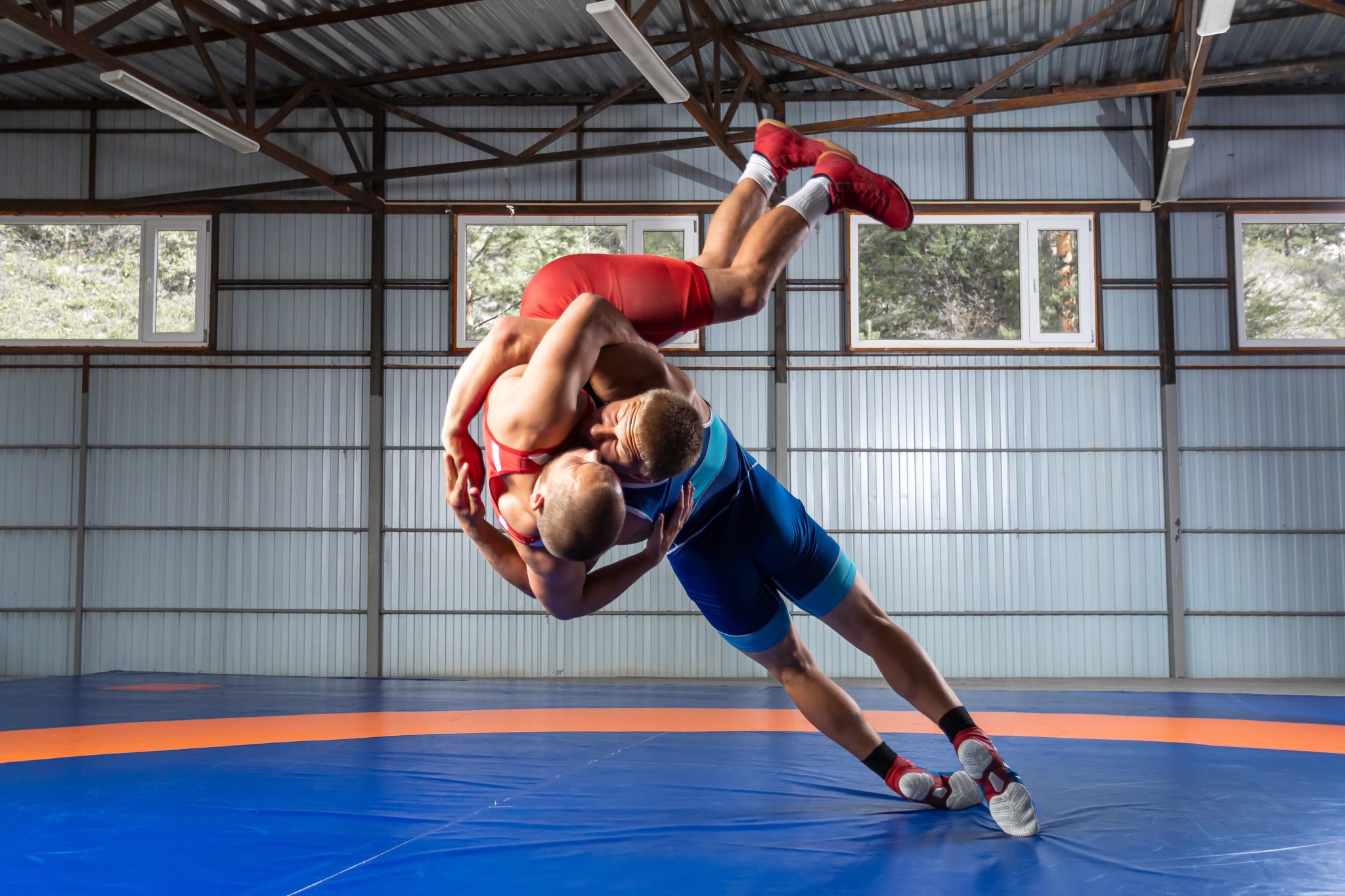 40 Types of Martial Arts from Around the World - Facts.net
