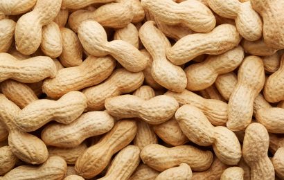 Turn Your Curiosity Into Discovery - Facts.net