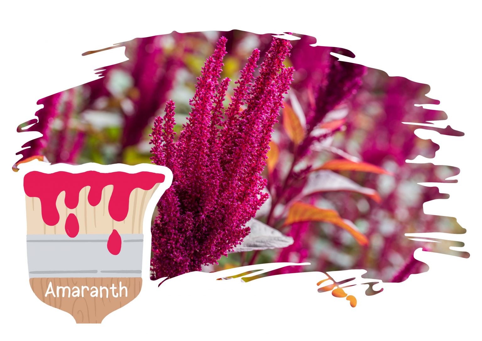 20 Rare Colors You’ve Never Heard Of - Facts.net