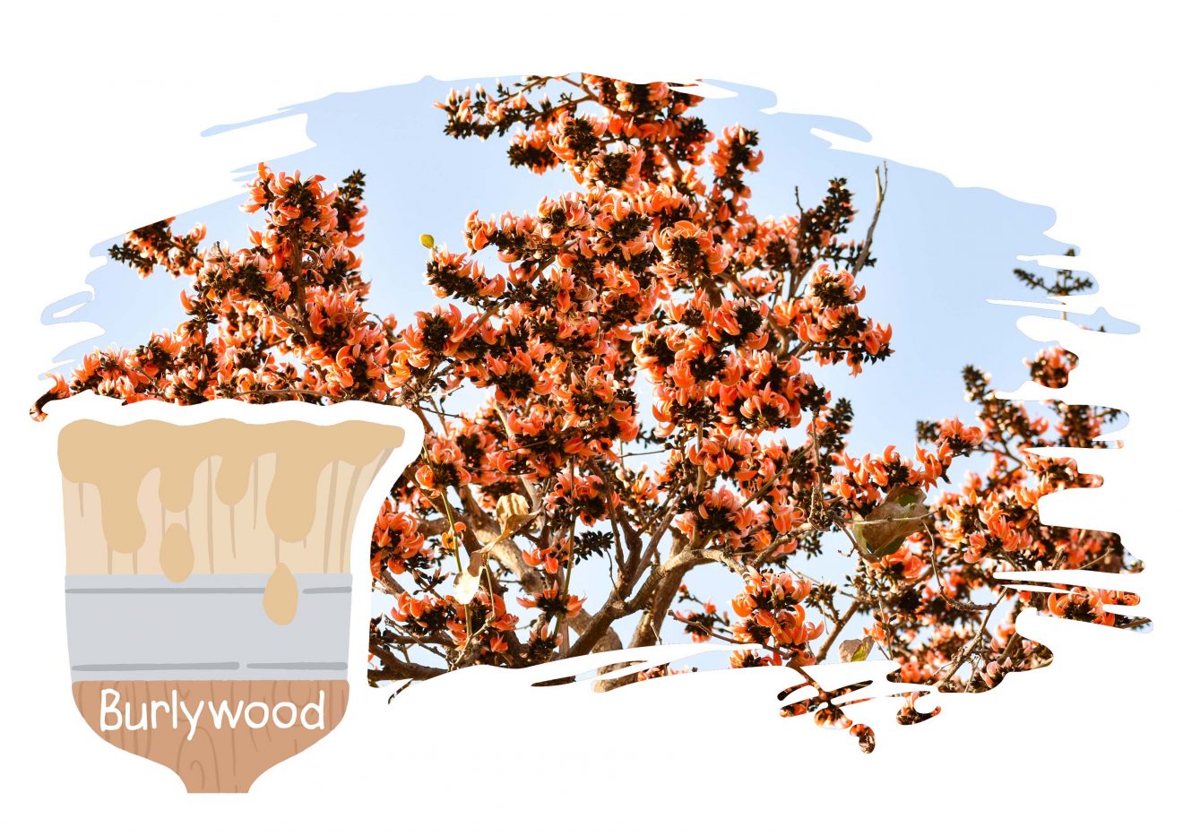 20 Rare Colors You’ve Never Heard Of - Facts.net