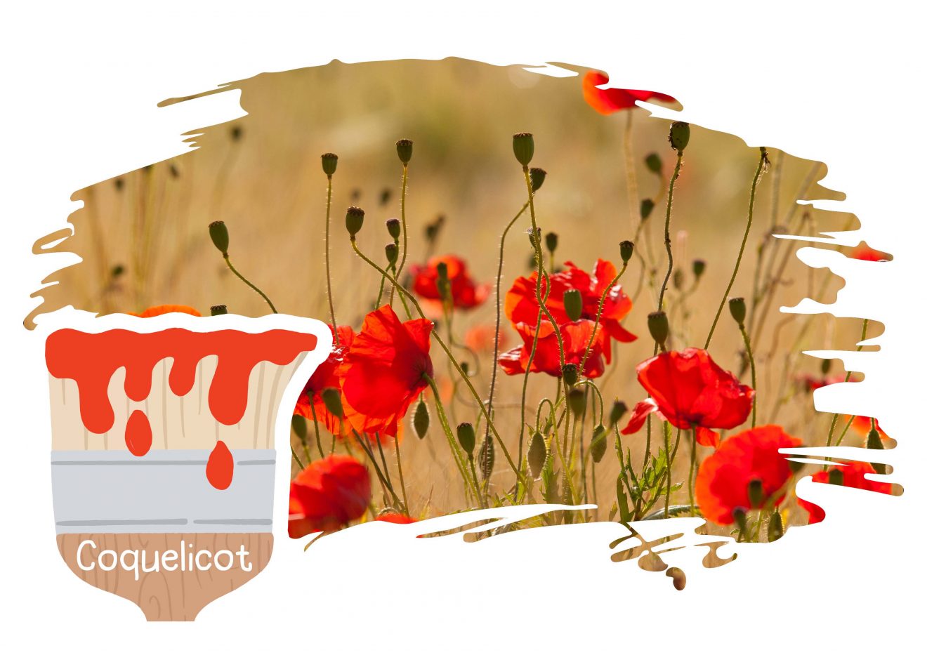 20 Rare Colors You’ve Never Heard Of - Facts.net