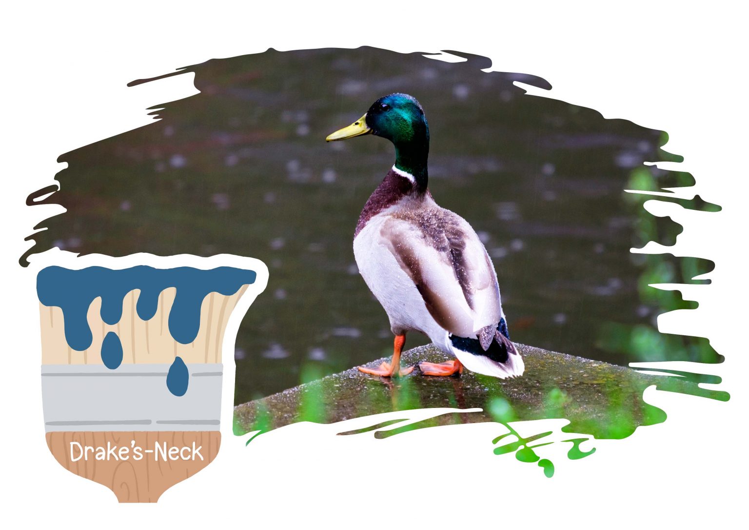 20 Rare Colors You’ve Never Heard Of - Facts.net