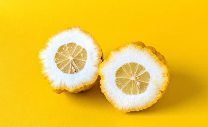 Citrus Fruits List: 30 Types of Citrus You Didn't Know - Facts.net