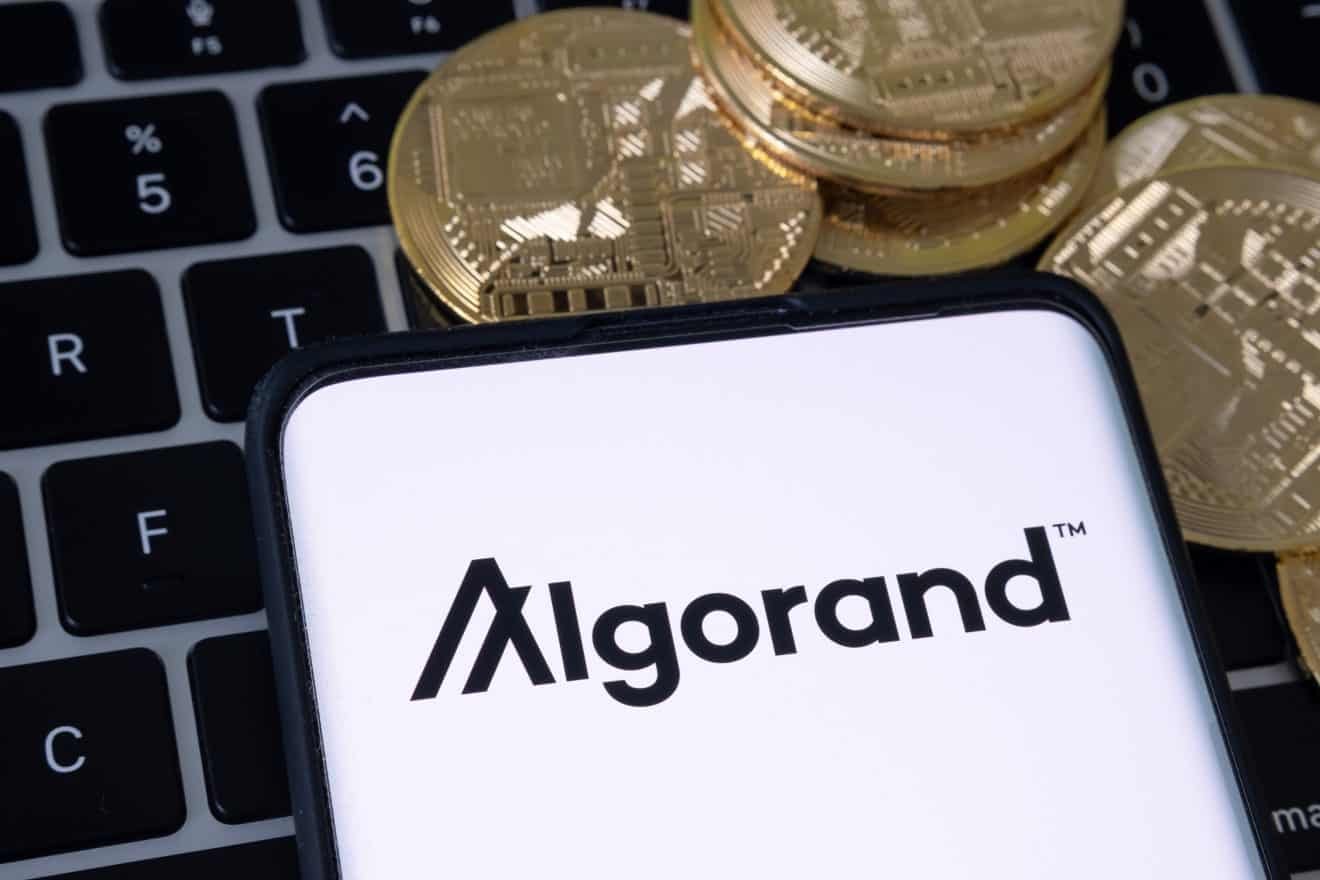 What Can You Use Algorand (ALGO) For? - Facts.net