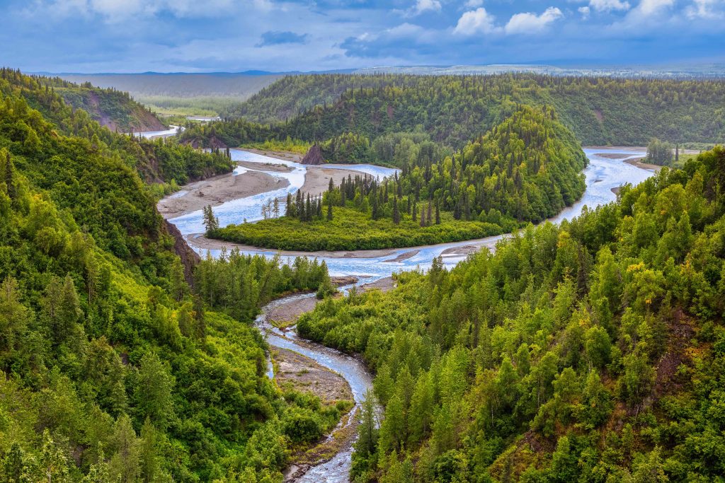 50 Facts About Taiga Biomes Largest Biome In The World Facts