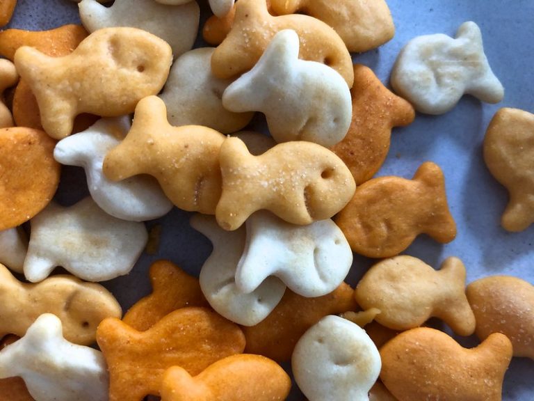 18 Goldfish Nutrition Facts: What You Need to Know - Facts.net