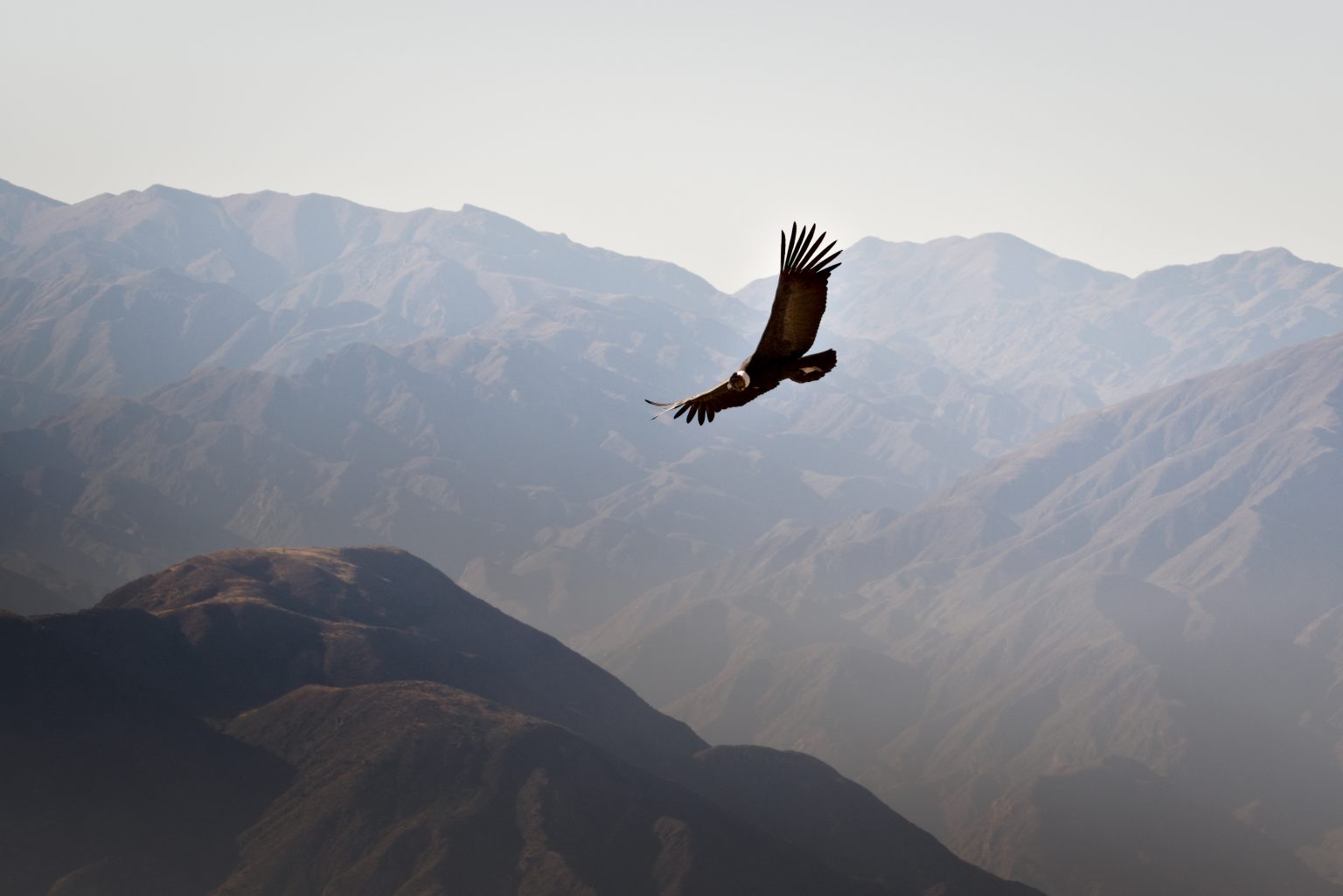 15 Andes Mountains Facts: Exploring the Majestic Beauty of South ...
