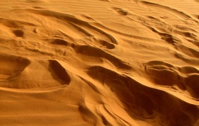 23 Mind-blowing Facts About Shauna Sand - Facts.net