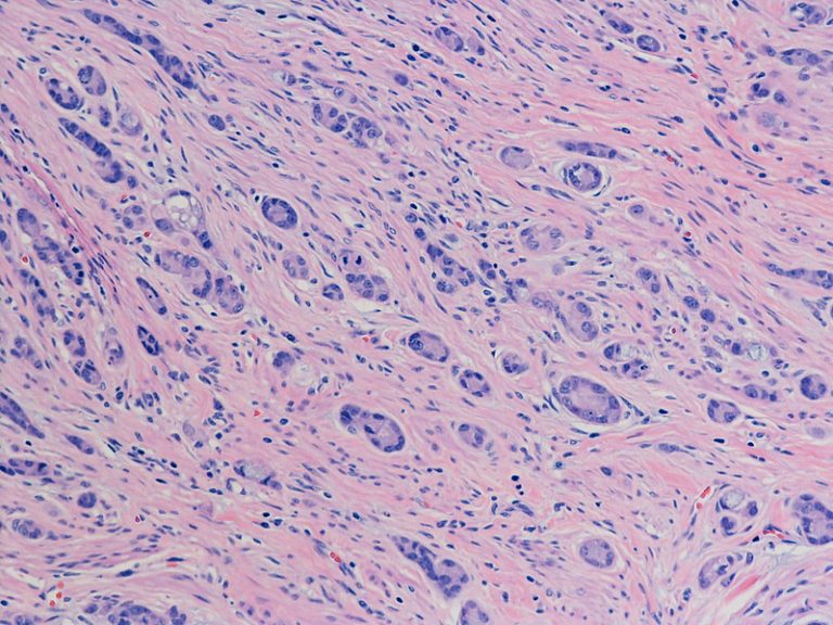 18 Important Facts About Cells - Facts.net