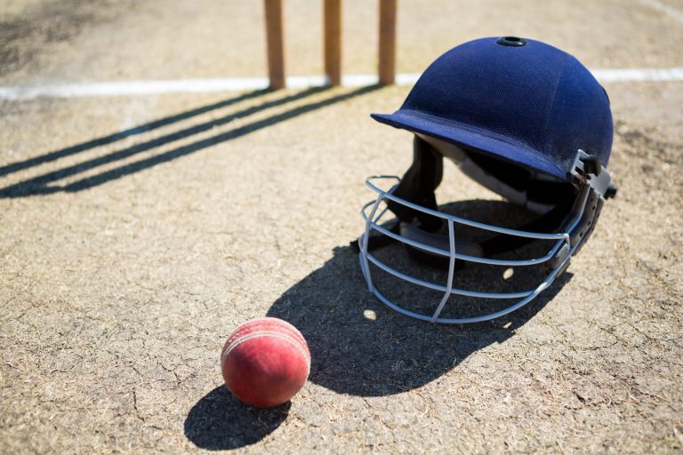 20 Cricket Facts: Rich Traditions and Exciting Insights of the ...