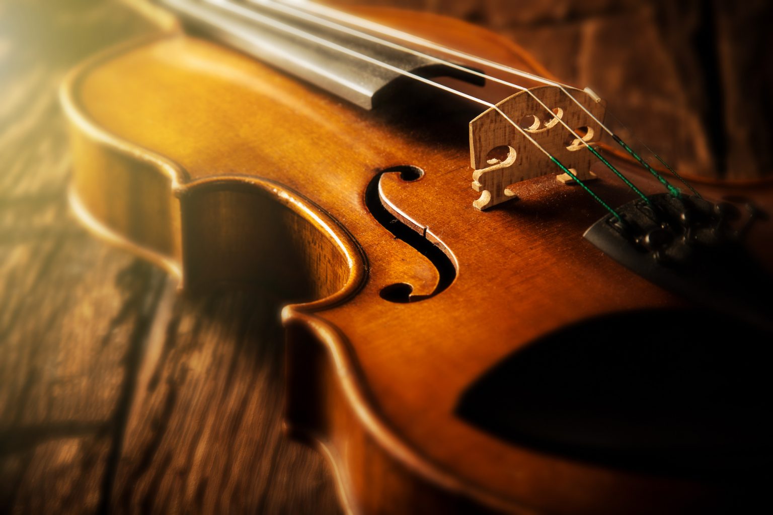 18 Fascinating Violin Facts About the King of Strings - Facts.net