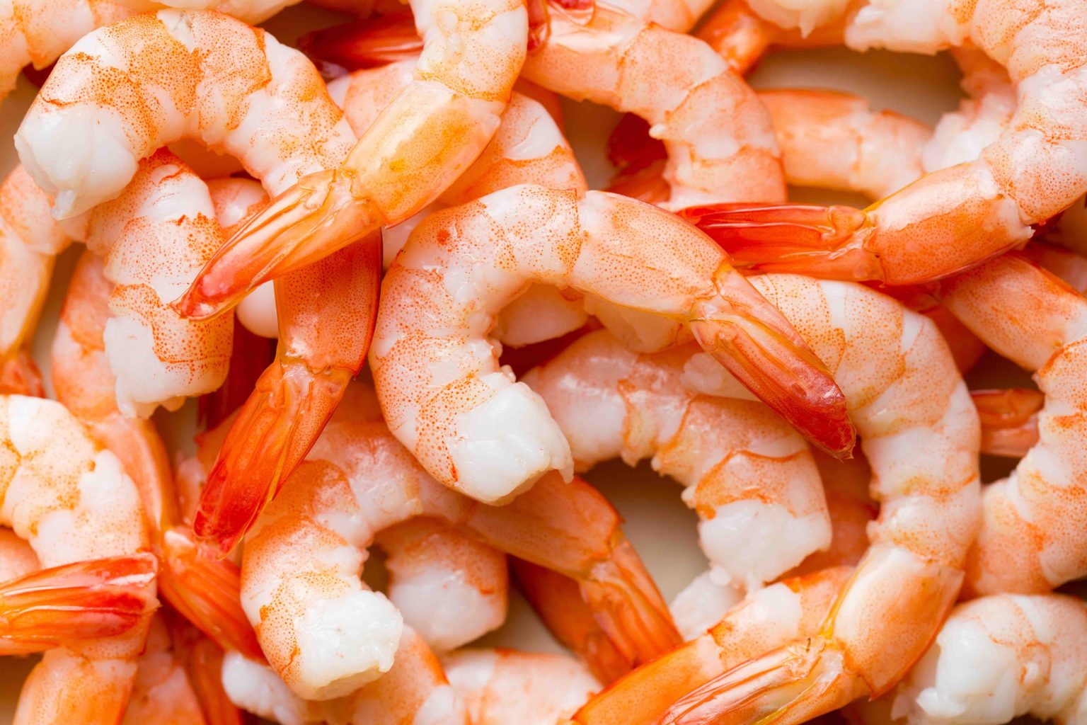 20 Facts About Shrimp You Never Knew - Facts.net