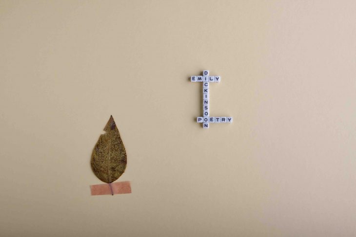 19 Amazing Emily Dickinson Facts You Should Know - Facts.net