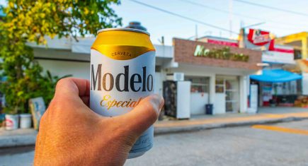 16 Refreshing Modelo Nutrition Facts - Facts.net