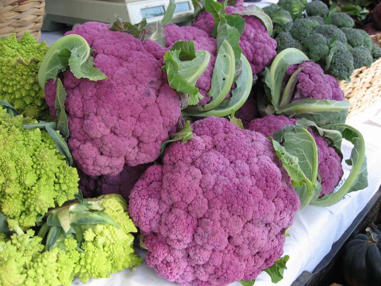 20 Facts About Broccoli You Probably Didn't Know - Facts.net