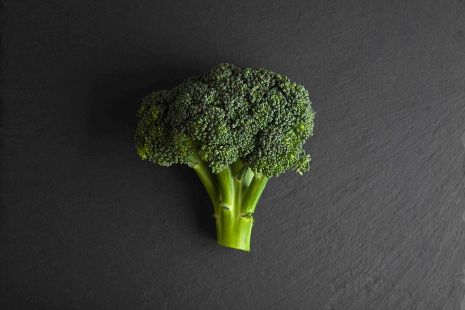 20 Facts About Broccoli You Probably Didn't Know - Facts.net