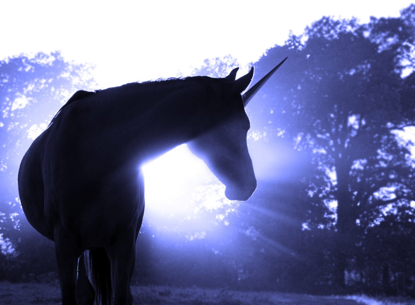 17 Enchanting Unicorn Facts Too Magical to Miss - Facts.net