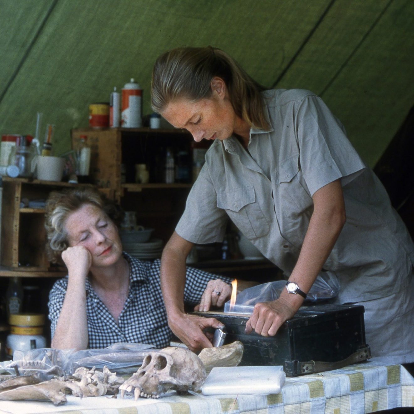 15 Inspiring Jane Goodall Facts For Kids - Facts.net