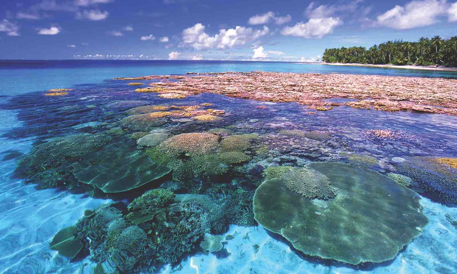 33 Facts About Marshall Islands Facts 33 Facts About Marshall Islands Facts