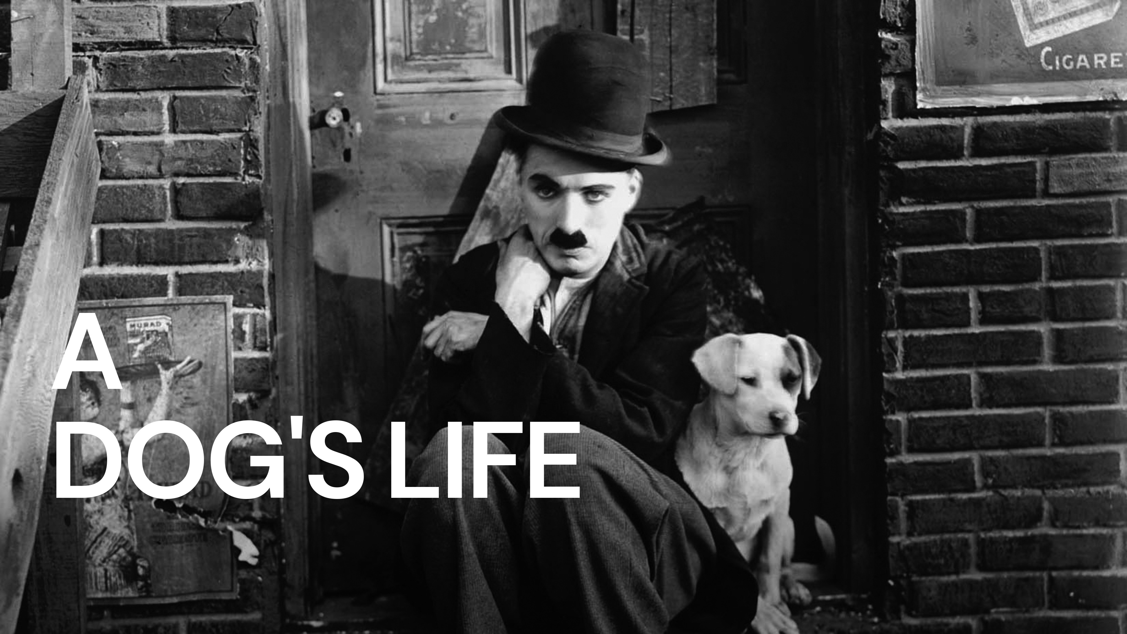 49 Facts about the movie A Dog's Life - Facts.net
