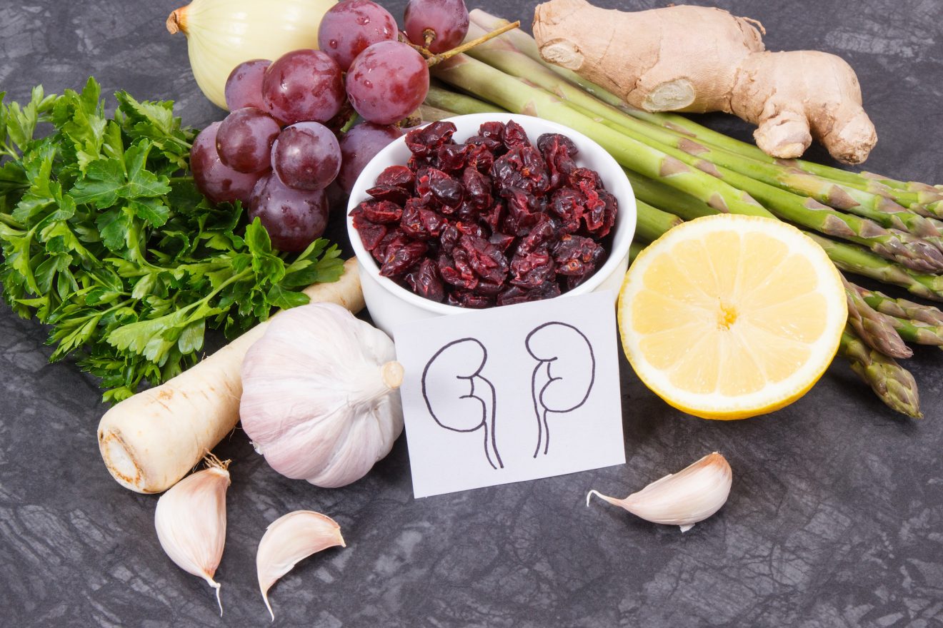 19 Urinary System Facts: Importance of the Body's Filtering and Waste ...