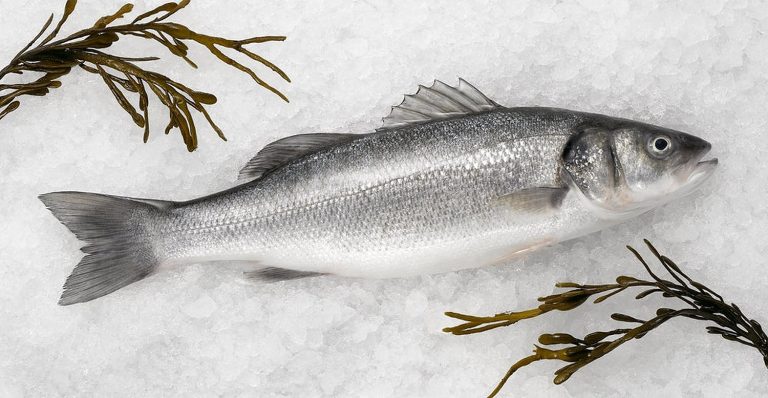 15 Branzino Nutrition Facts You Probably Didn't Know - Facts.net