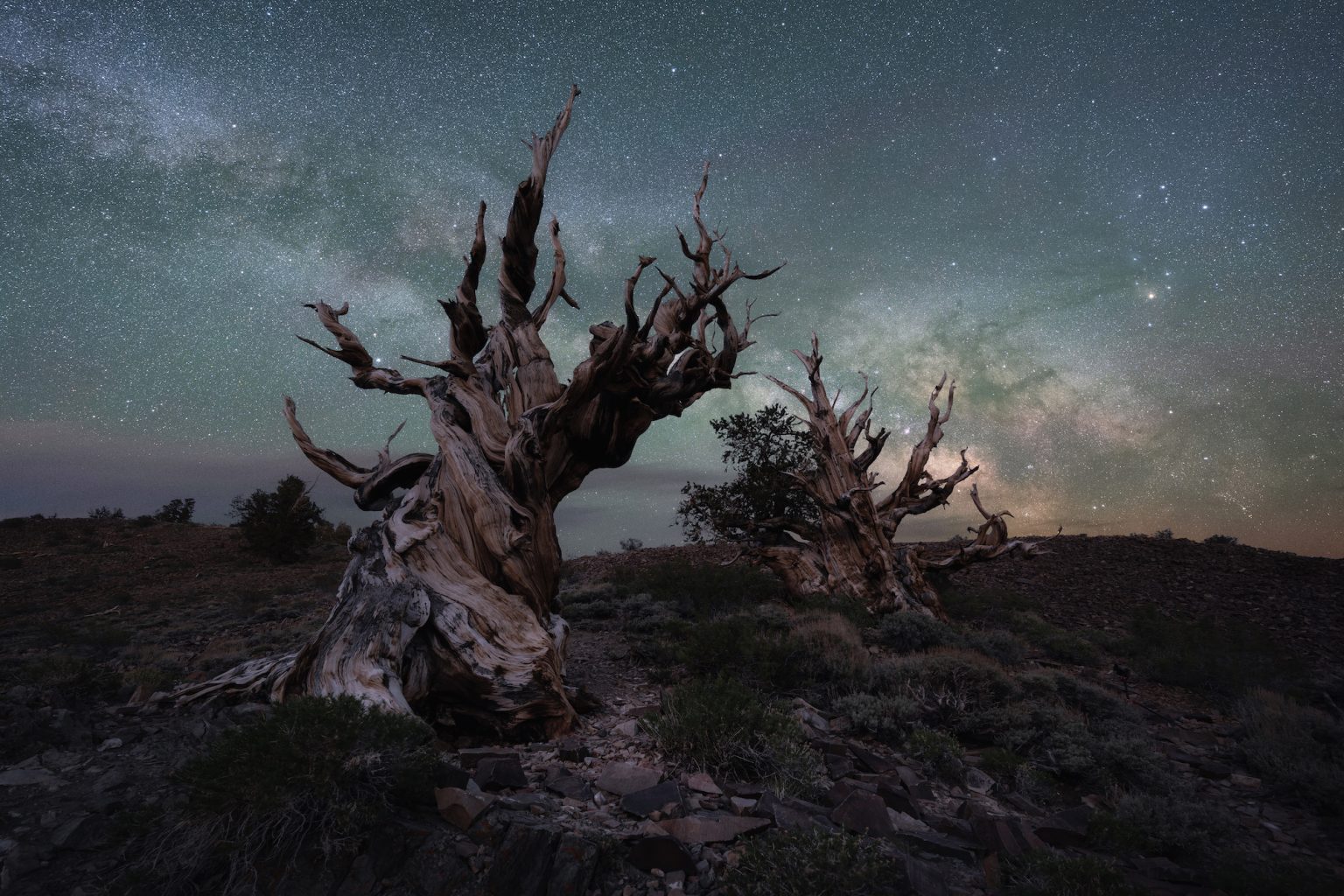 California Desert Region: 15 Fascinating Facts about this Enchanting ...