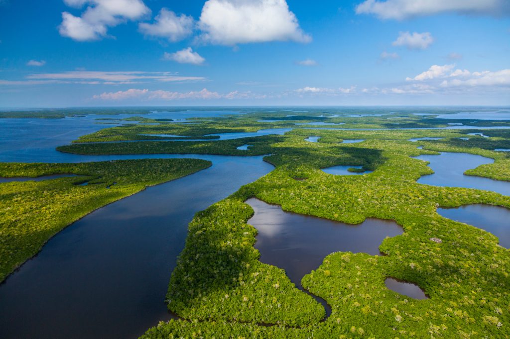 20 Fun Facts About Miami, the Sunshine State Gem - Facts.net
