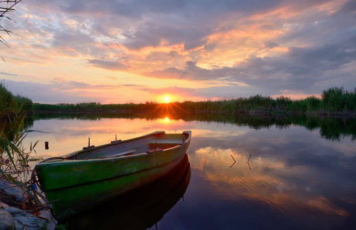 15 Facts About Deltas: Unveiling the Marvels of River Diversification ...