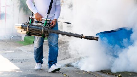 19 Fumigation Facts: An In-depth Exploration of a Critical Pest Control ...